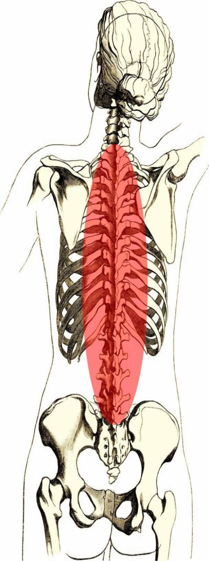 Swimming Stroke for Bad Backs and Necks: Using a Swim Snorkel - Tall.Life