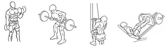 Height and Weightlifting Ability: The Short and Tall of It - Tall.Life