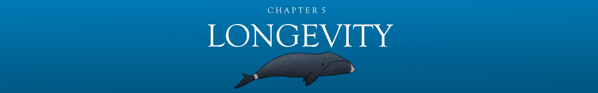 Tall Life: A Book for Tall People - Tall.Life